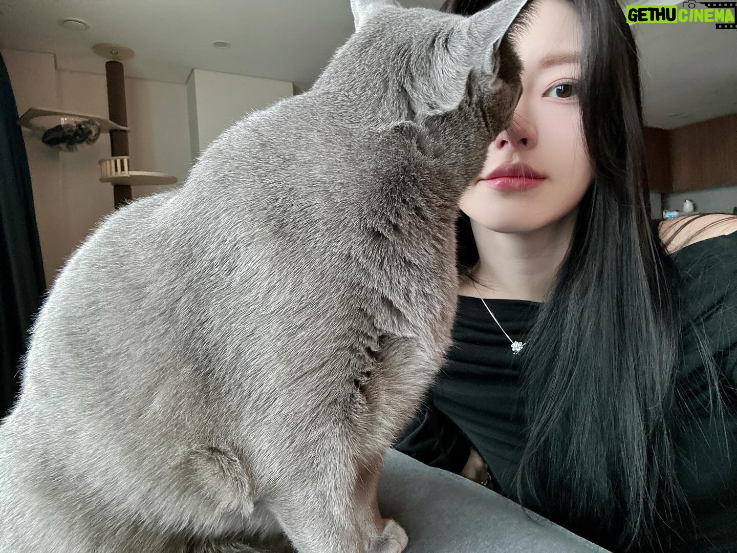 Han Chae-kyung | Gethu Cinema