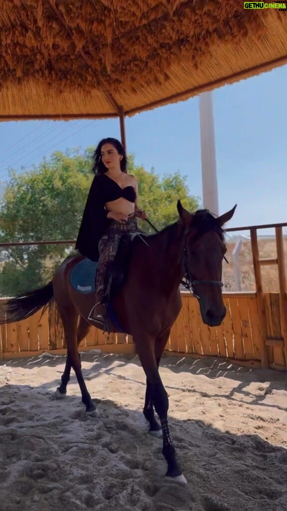 Actress Hande Kaptan HD Instagram Photos and Wallpapers April 2024 ...