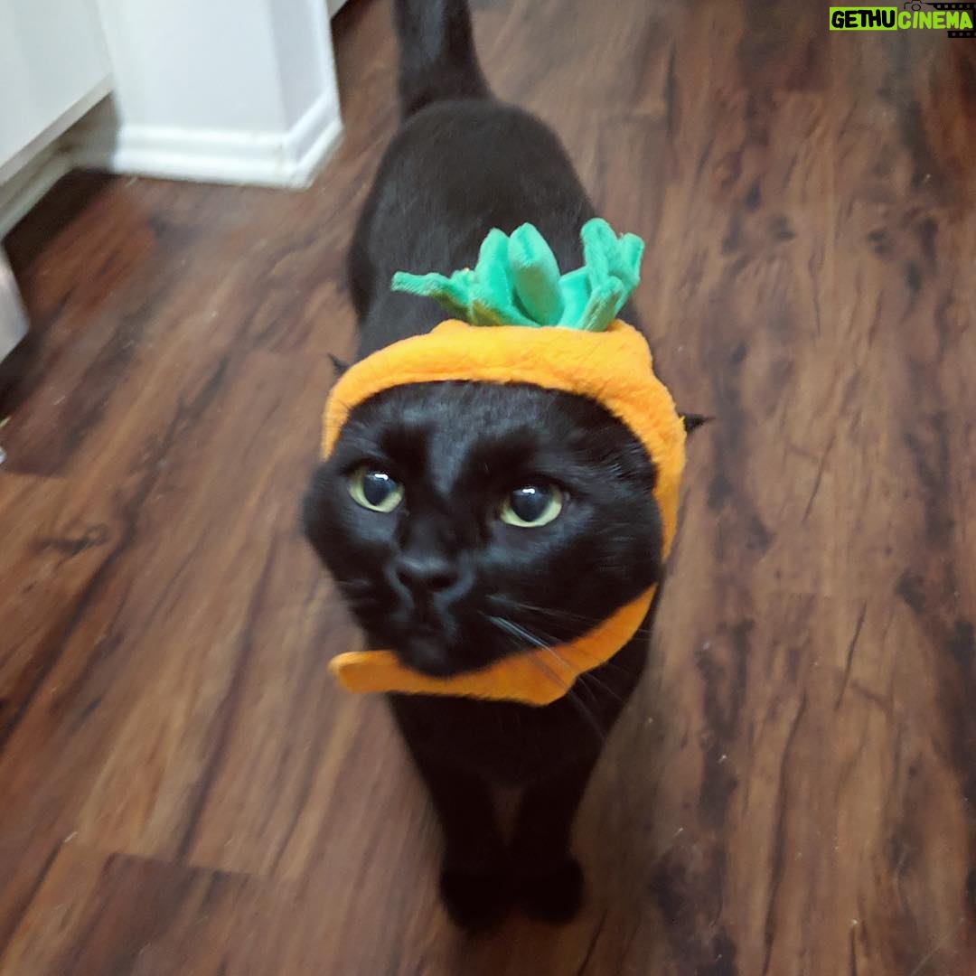 Irene Choi | Gethu Cinema