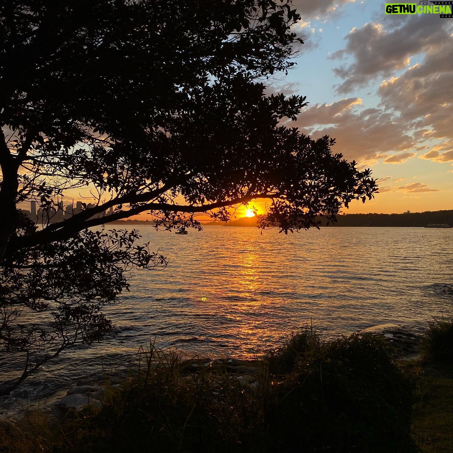 Jennifer Kaytin Robinson | Gethu Cinema