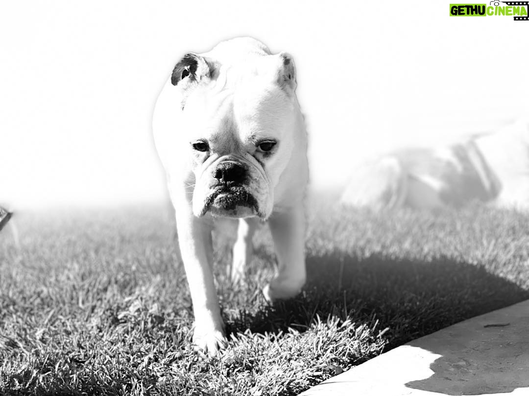 Jennifer Landon Instagram – Pearl’s first rap album- “Bum Rap”. | Gethu ...