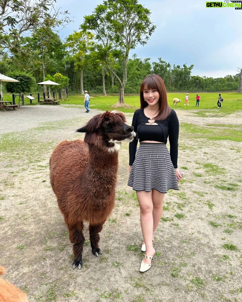 Actress Jessica Lin HD Instagram Photos and Wallpapers June 2023 ...