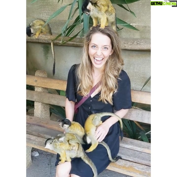 Jessica Rothe Instagram – Monkey business | Gethu Cinema