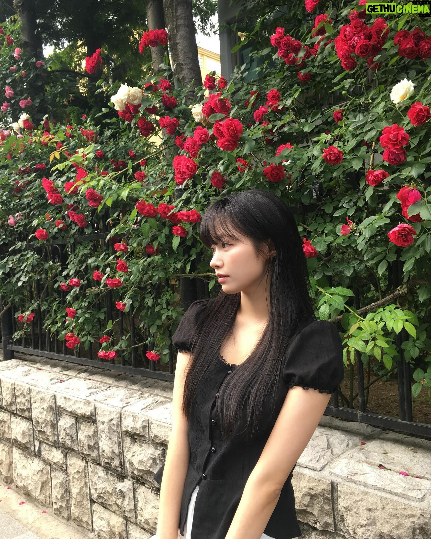 Actress Jung Bo-min HD Instagram Photos and Wallpapers June 2024 ...