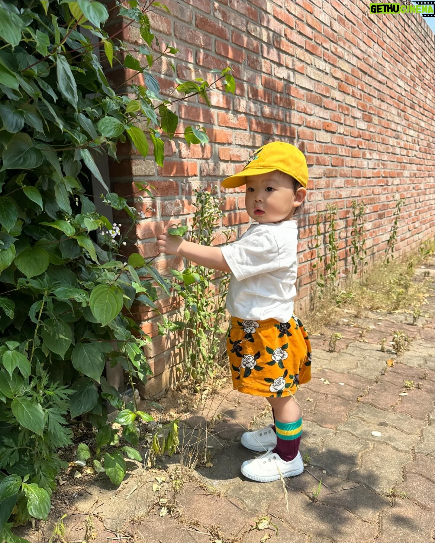 Kim Young-hee | Gethu Cinema