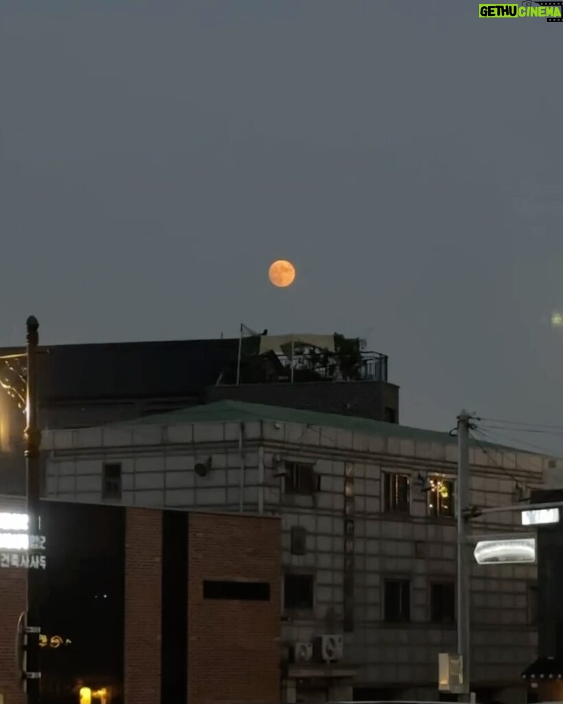 Actress Kim Su-Ji HD Instagram Photos and Wallpapers December 2023 ...