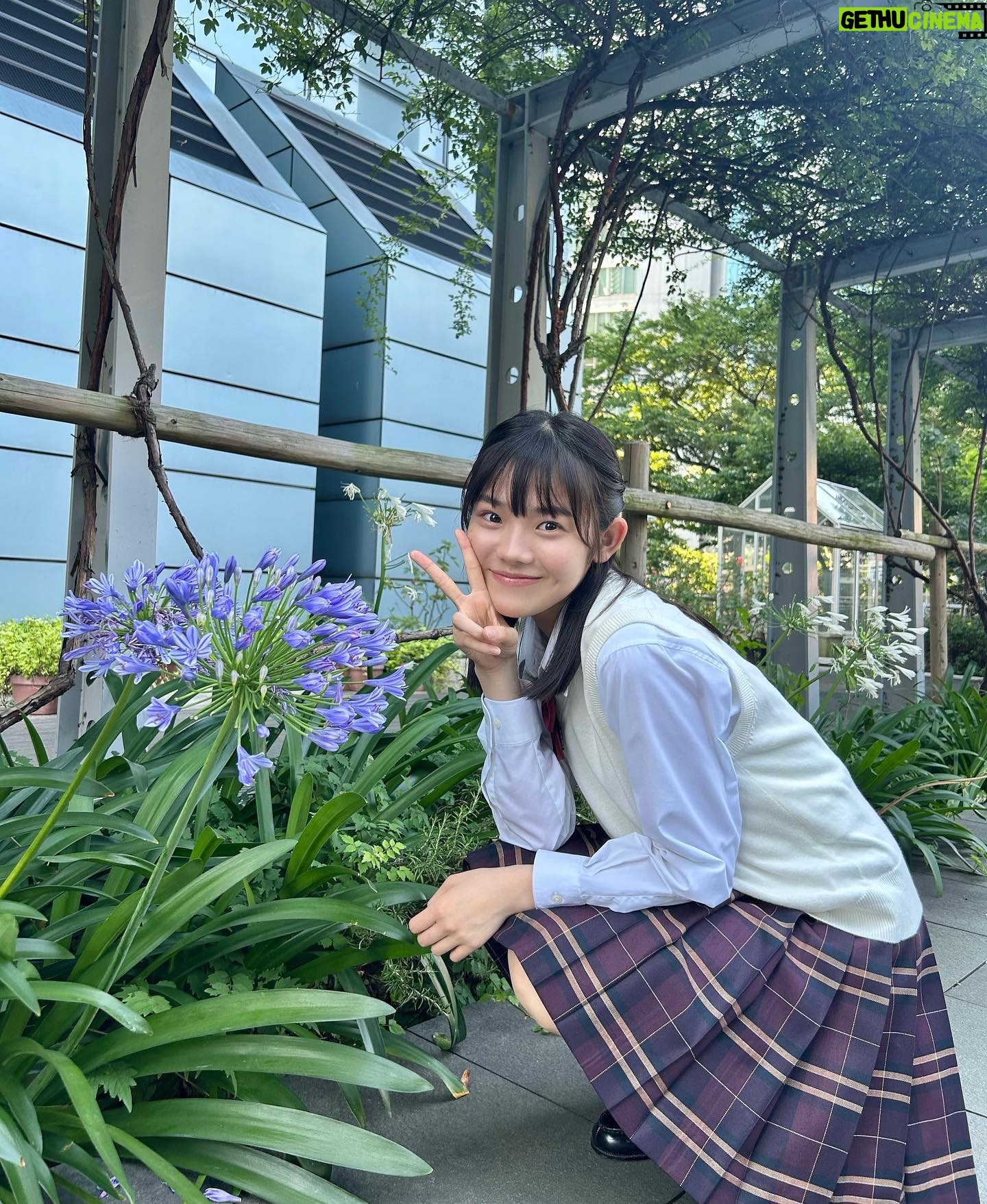 Kohaku Shida | Gethu Cinema