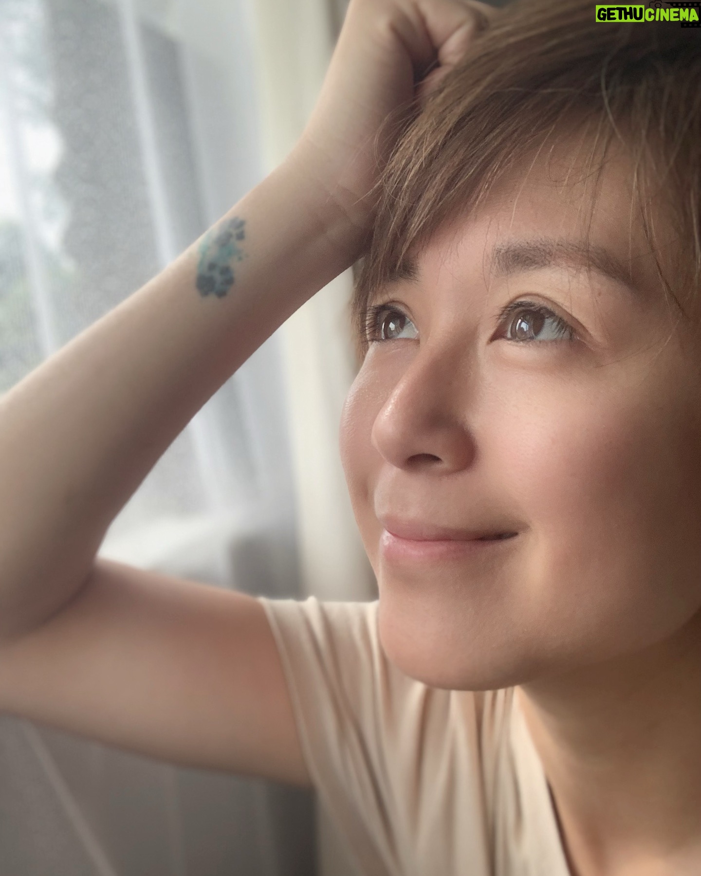 Actress Leila Tong HD Instagram Photos and Wallpapers May 2024 | Gethu ...