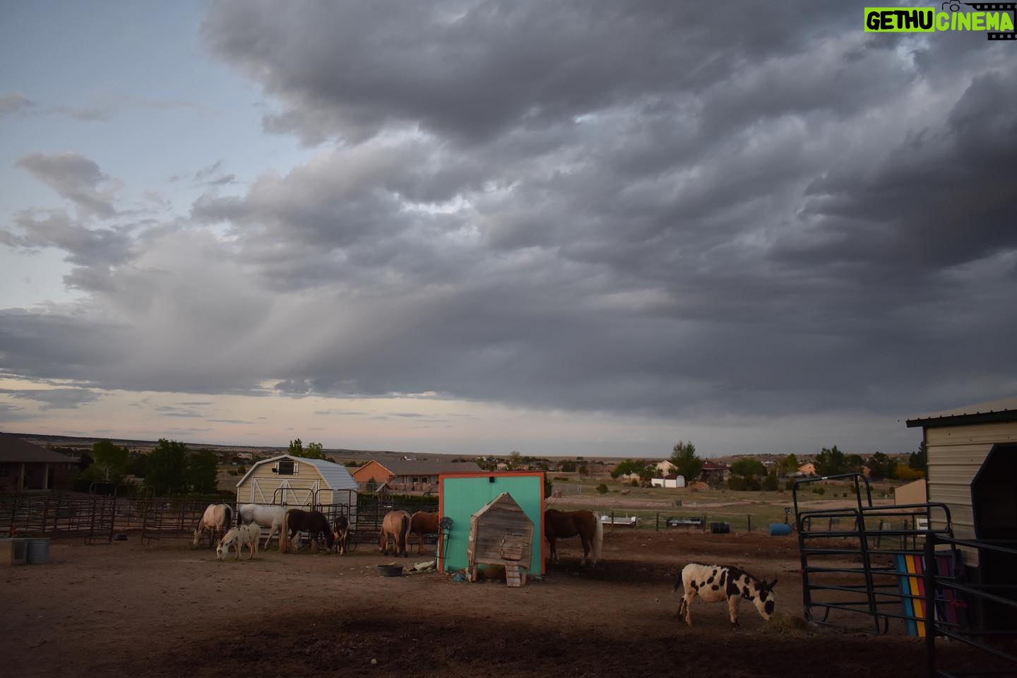 Lisa Hanawalt | Gethu Cinema