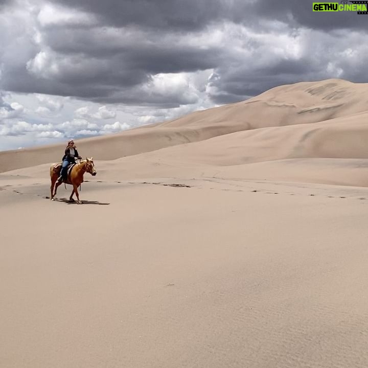 Lisa Hanawalt | Gethu Cinema