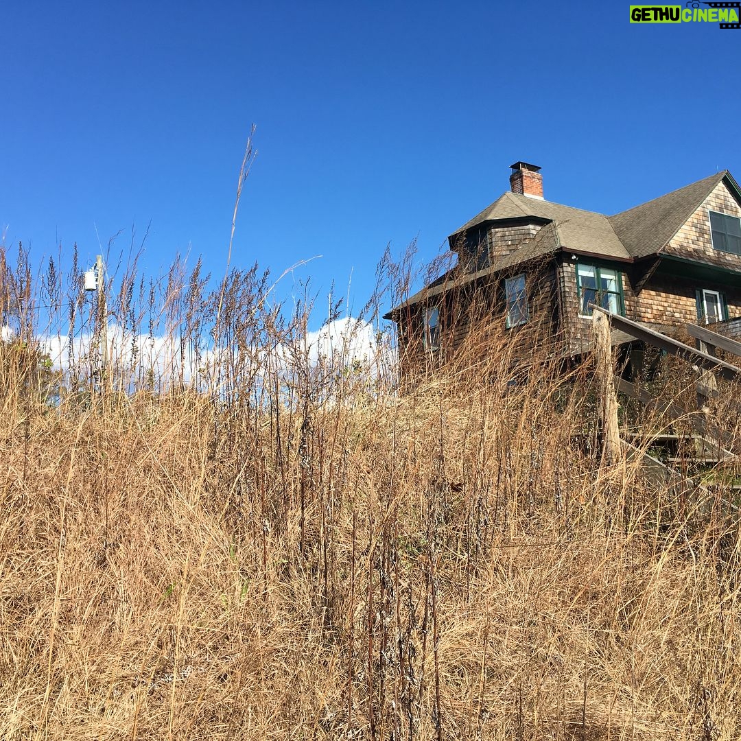 Lucy Walters | Gethu Cinema