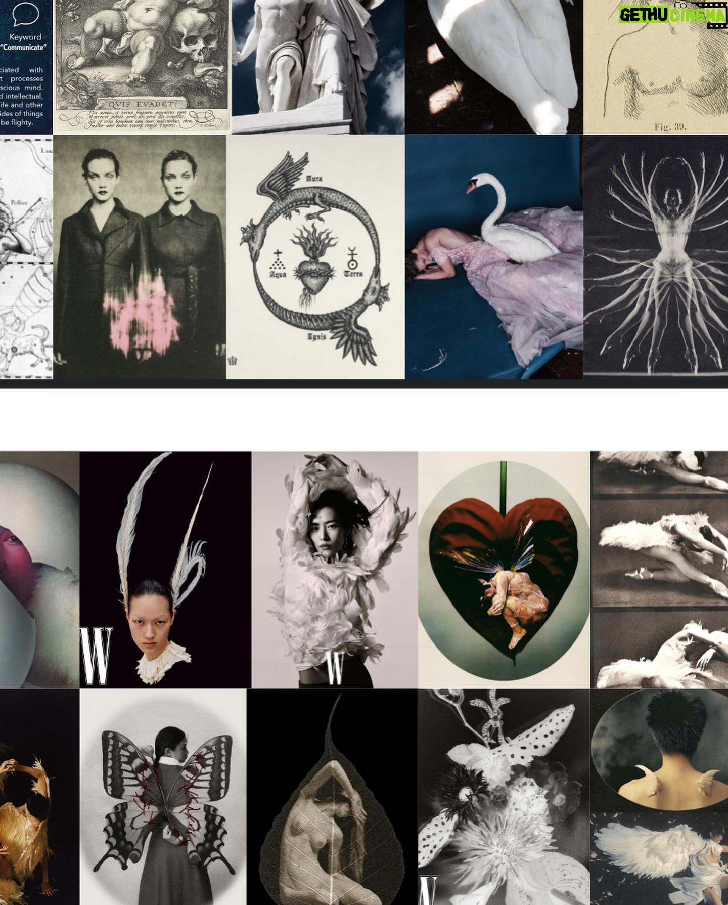 Mae Tan Instagram – (2/9) ♊️ The Story Of The Gemini: The Twin-Gods ...