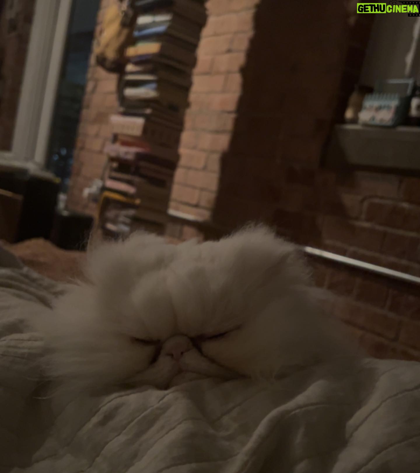 Maisy Stella Instagram – HEY HI HELLOO | Gethu Cinema