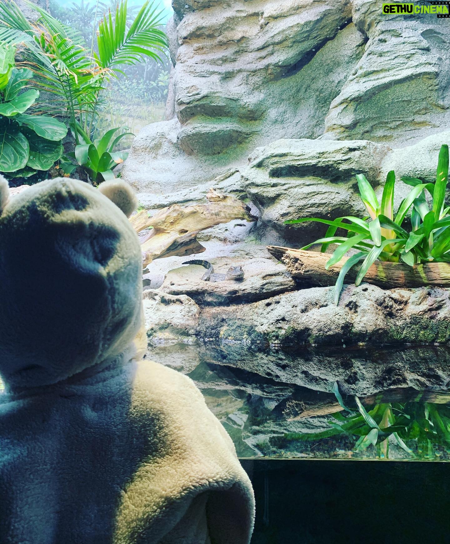 Majandra Delfino | Gethu Cinema