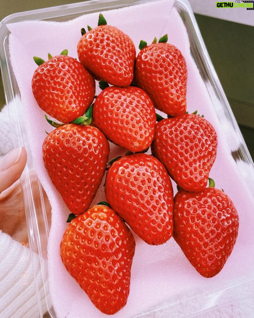 Actress Mayu Miyamoto HD Photos and Wallpapers February 2024 | Gethu Cinema