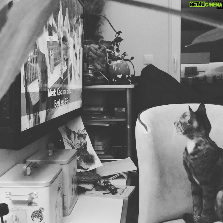 Mehtap Bayri | Gethu Cinema