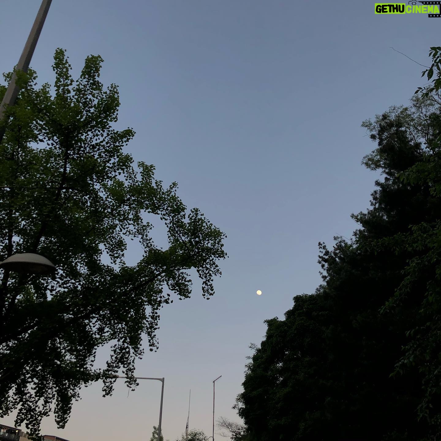 Moon Sua Instagram – 평소에 하늘 사진 찍는 걸 좋아하는데 사진첩을 보다보니 은은하게 찍힌 달이 너무 이뻐서 ...