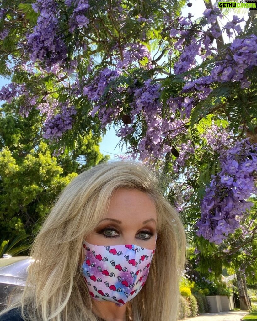 Actress Morgan Fairchild HD Instagram Photos and Wallpapers October ...