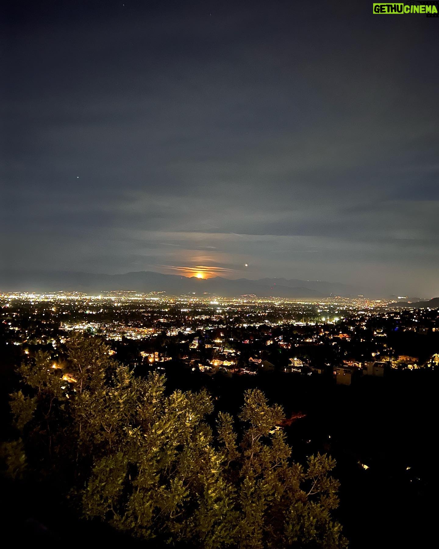 Nanda Ziegler | Gethu Cinema