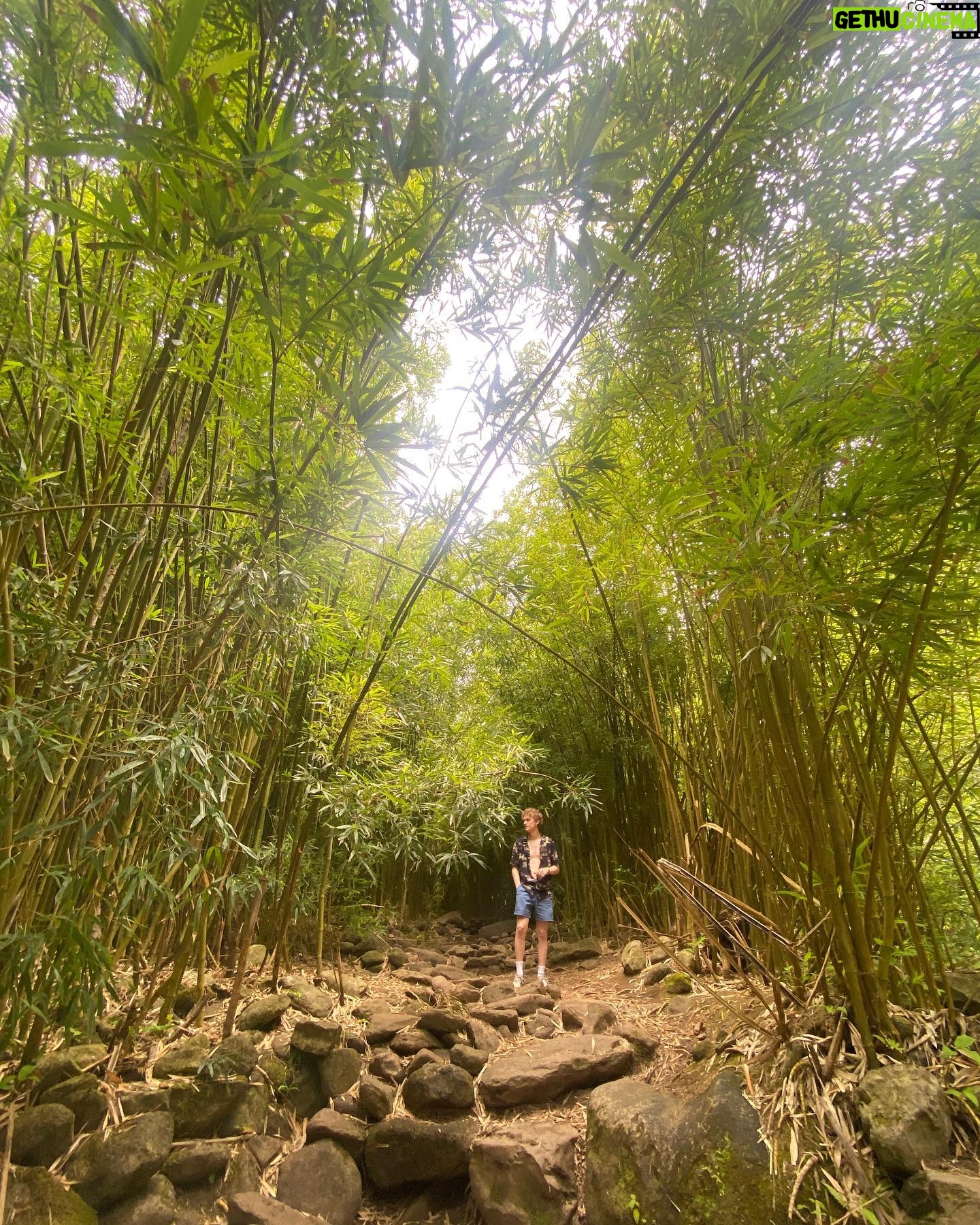 Actress Netta Walker HD Instagram Photos and Wallpapers September 2023 ...