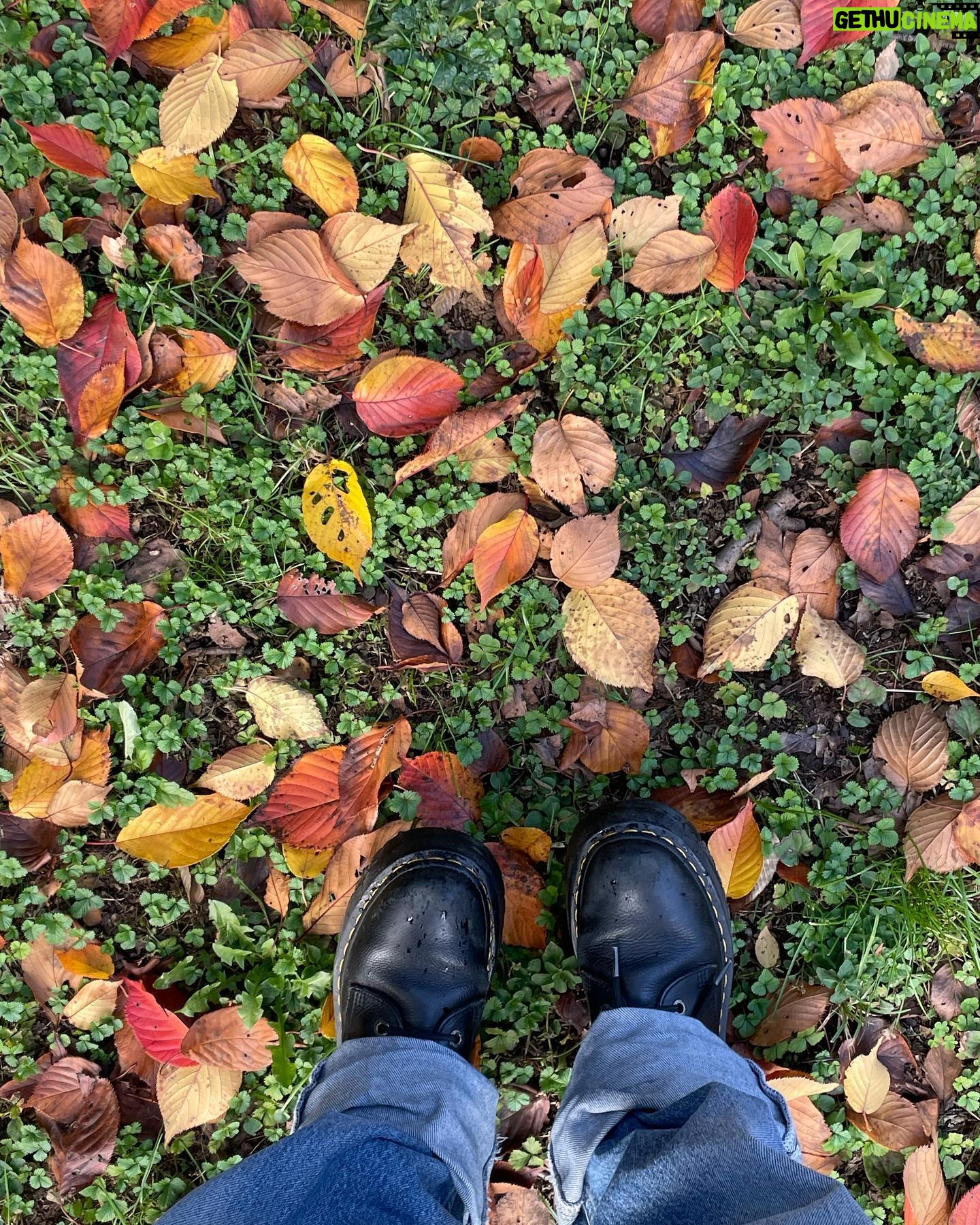 Actress Ninon HD Instagram Photos and Wallpapers November 2022 | Gethu ...