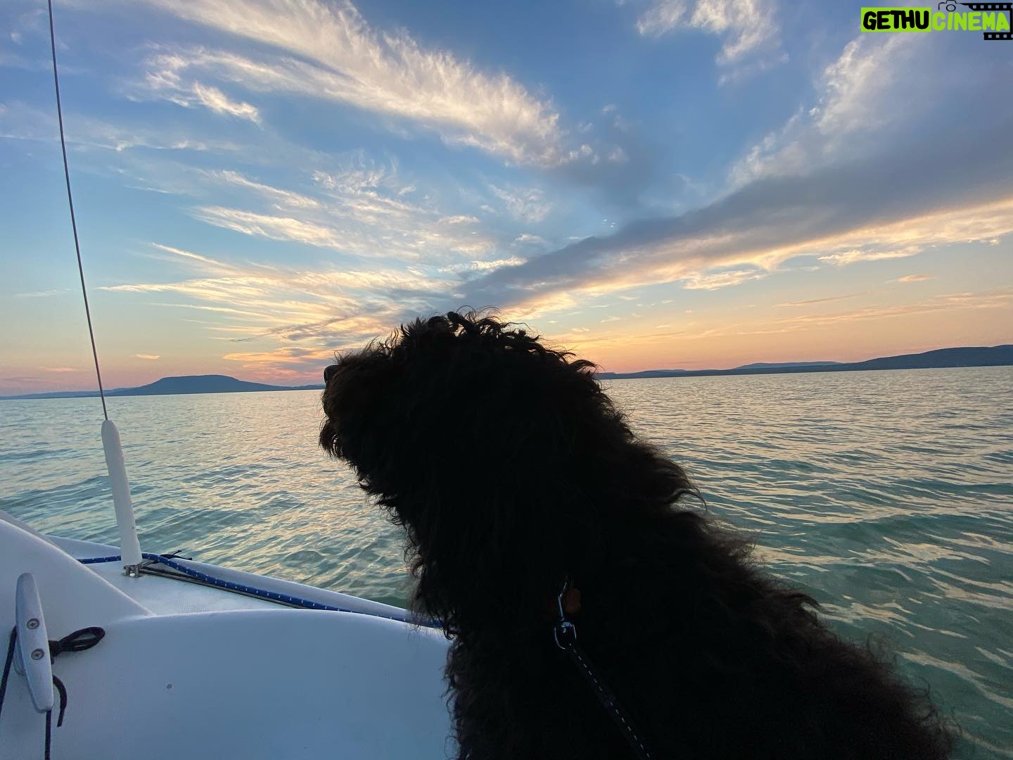 Nóra Trokán | Gethu Cinema