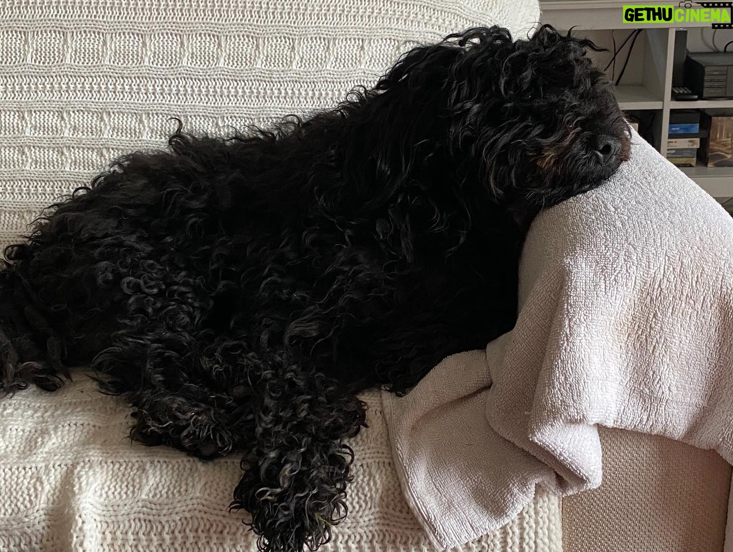 Nóra Trokán | Gethu Cinema