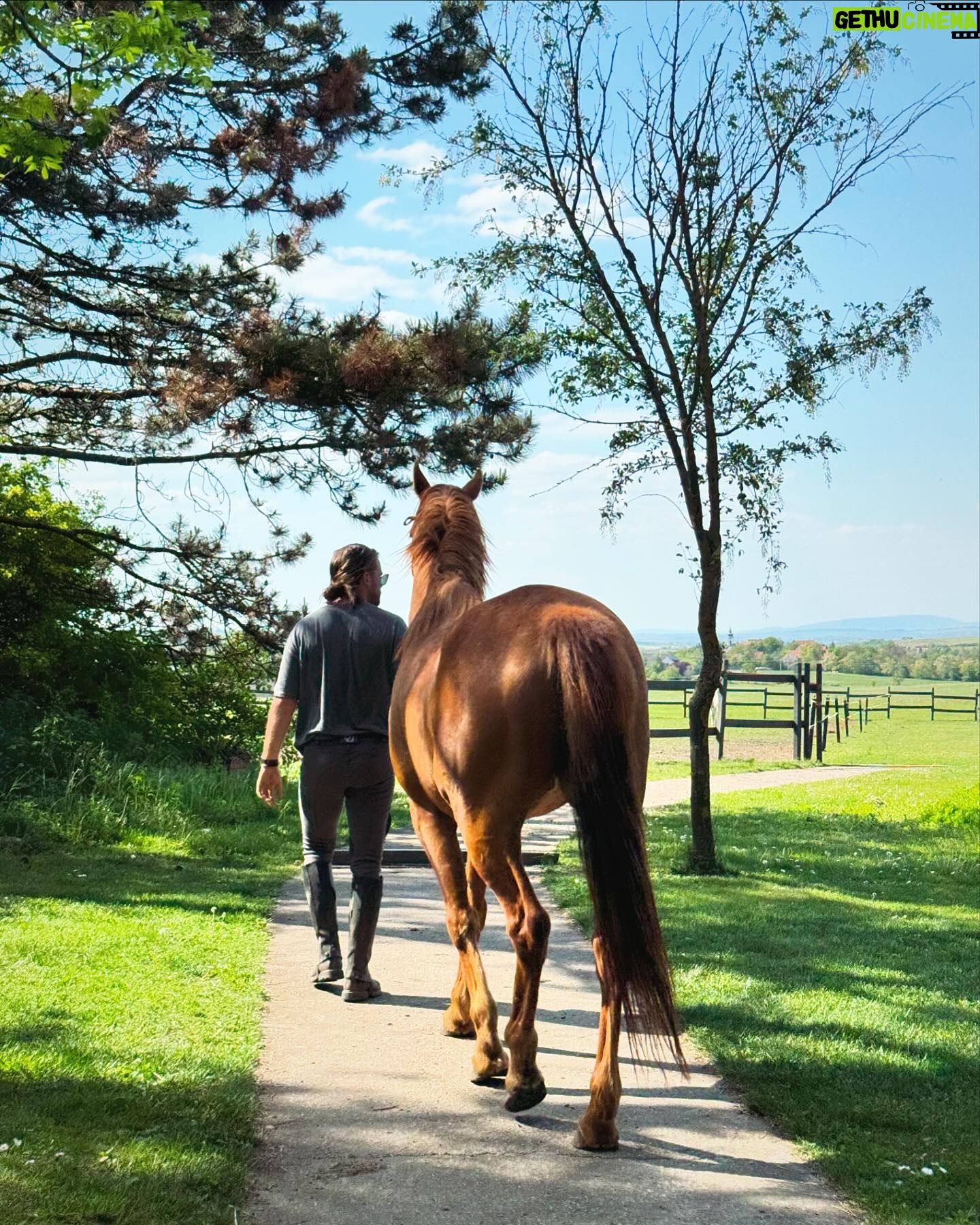 Nóra Trokán | Gethu Cinema