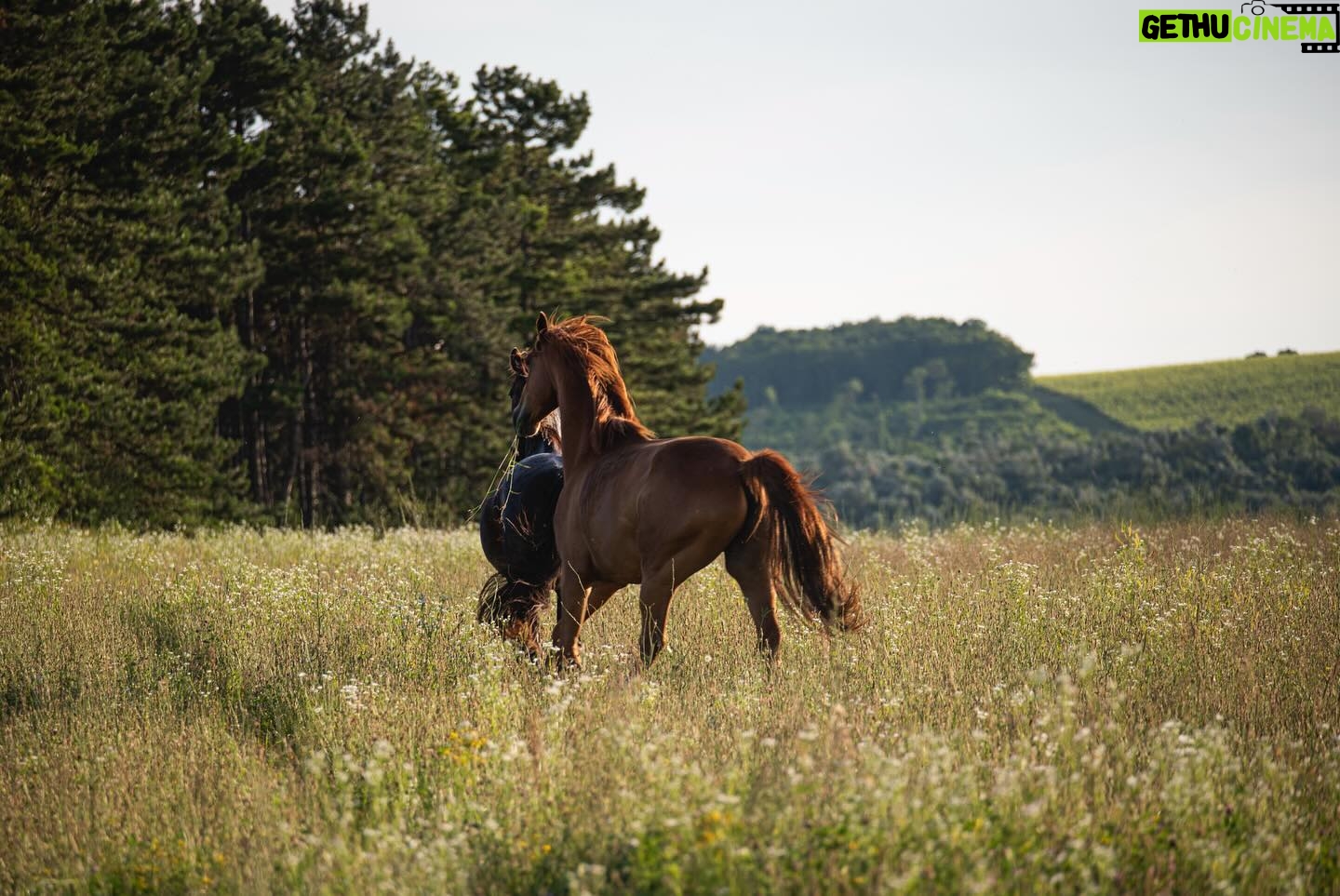 Nóra Trokán | Gethu Cinema
