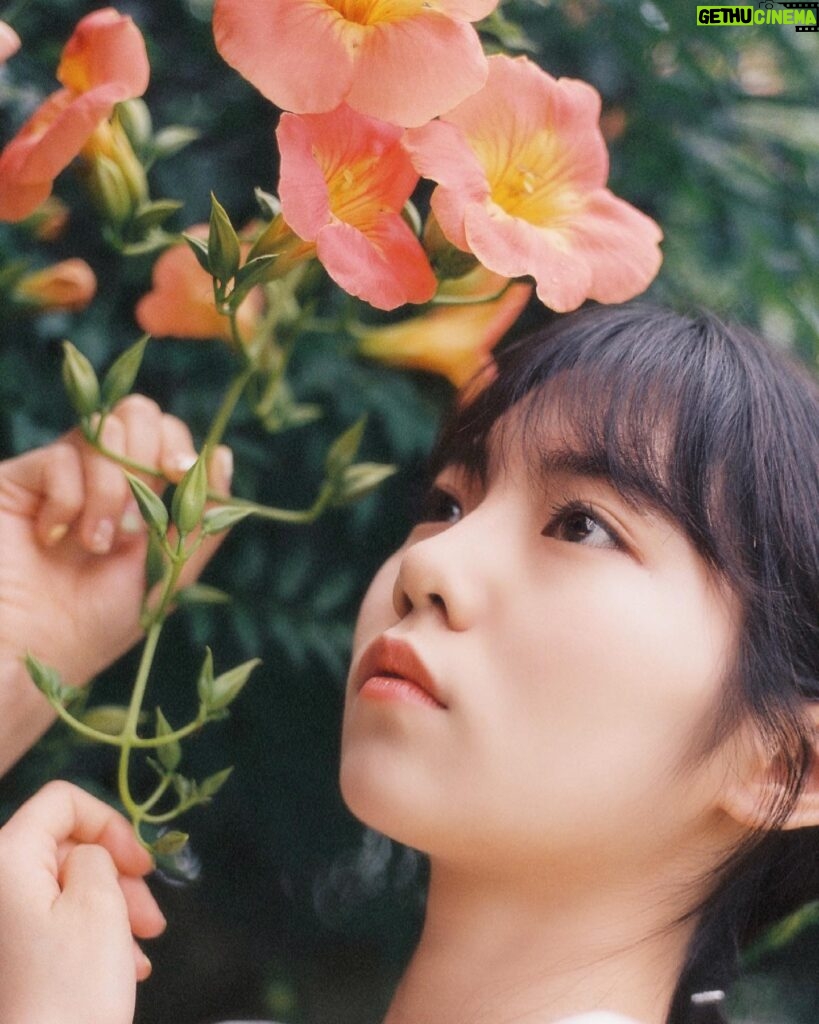 Actress Park Seo-yeon HD Instagram Photos and Wallpapers April 2023 ...