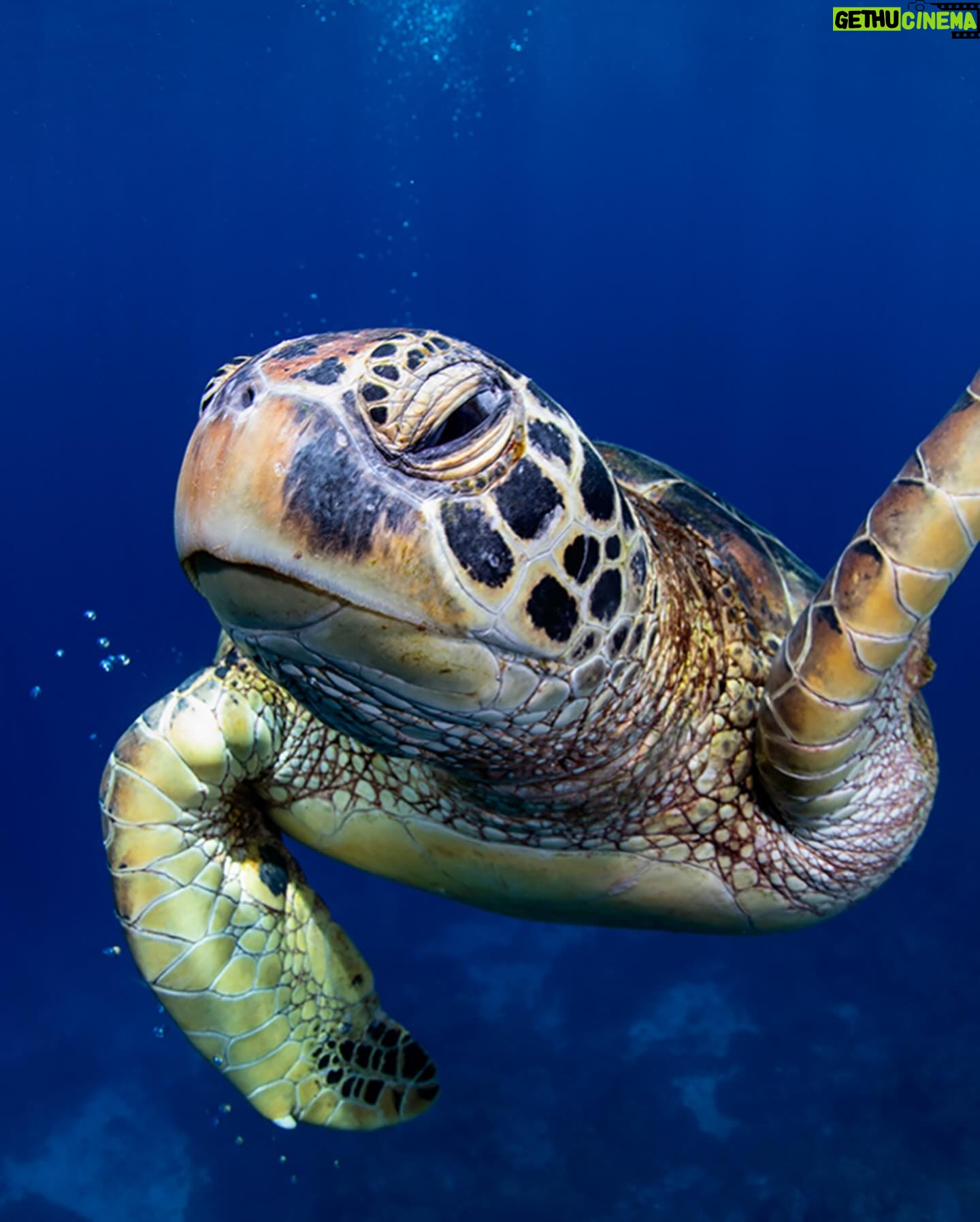 Patty Pei-Yu Lee | Gethu Cinema