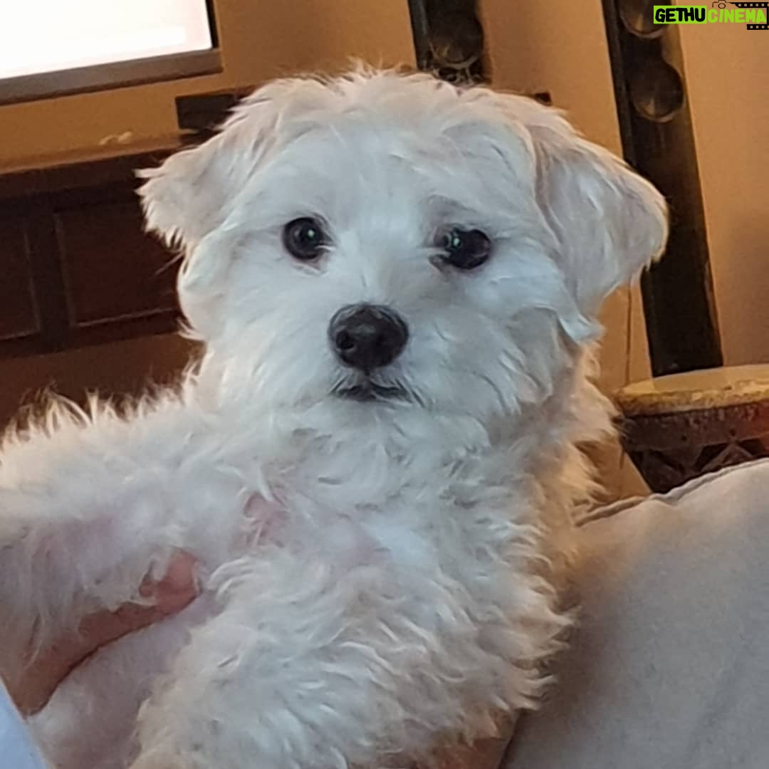 Pelin Körmükçü | Gethu Cinema