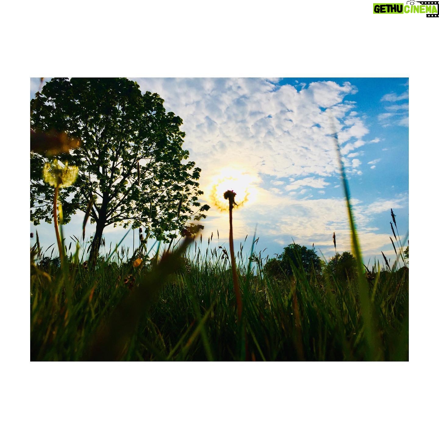 Perdita Weeks Instagram – Primavera | Gethu Cinema Perdita Weeks Instagram – Primavera | Gethu Cinema