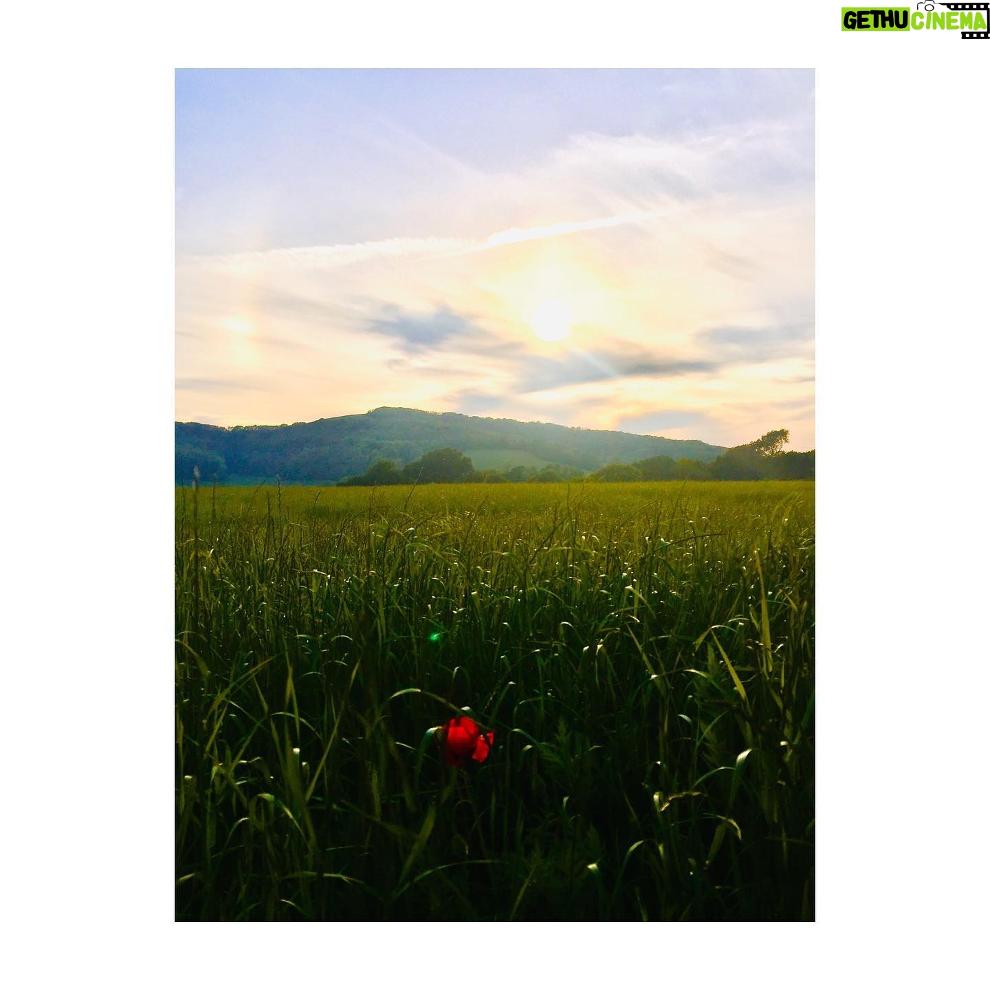 Perdita Weeks Instagram – Sitting pretty | Gethu Cinema Perdita Weeks Instagram – Sitting pretty | Gethu Cinema