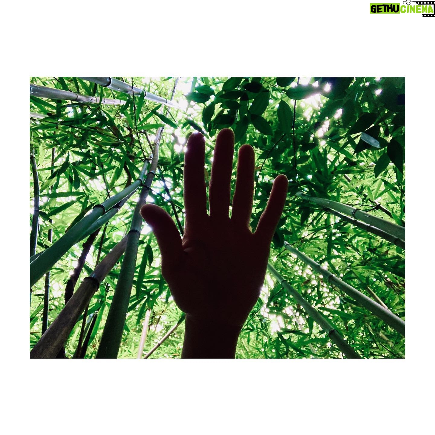 Perdita Weeks Instagram – Same Same | Gethu Cinema Perdita Weeks Instagram – Same Same | Gethu Cinema