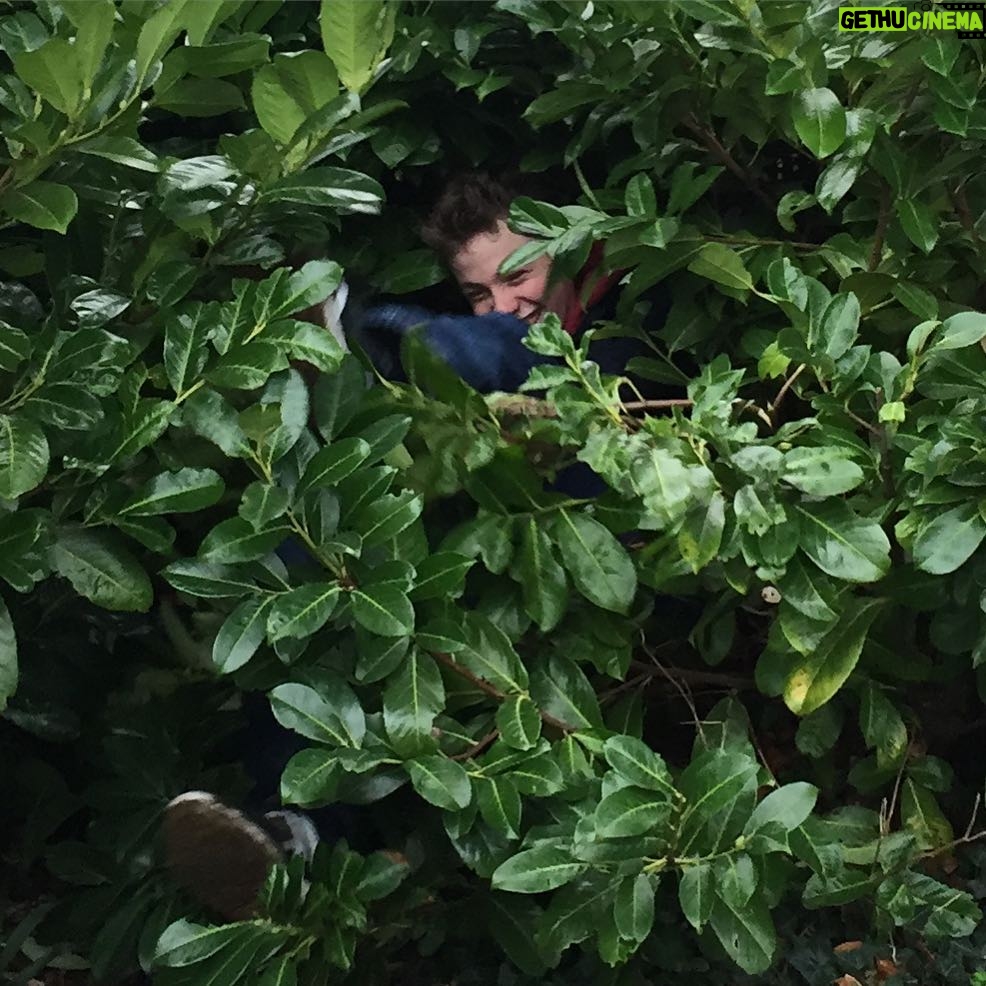 Phia Saban | Gethu Cinema