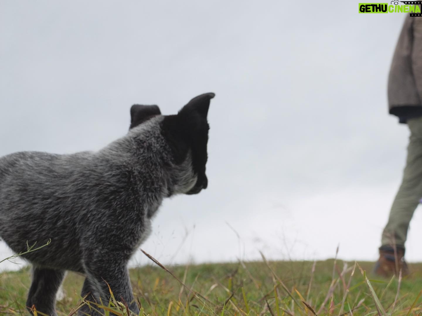 Philippa Northeast Instagram – Little loves | Gethu Cinema