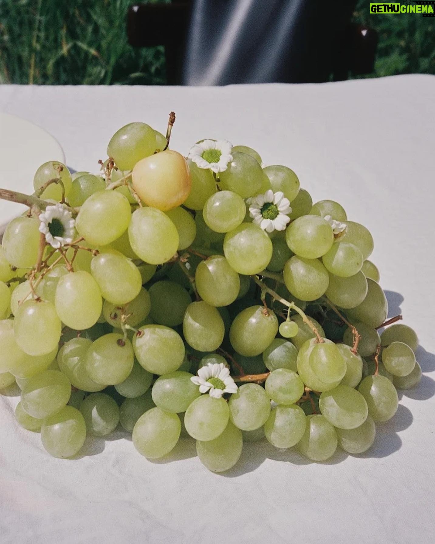 Actress Regina Burd HD Instagram Photos and Wallpapers August 2023 ...