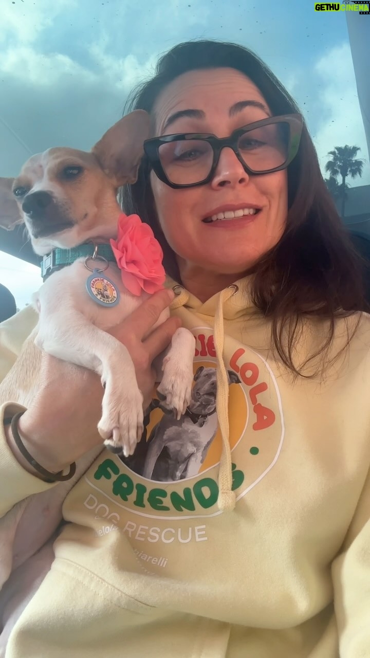 Rena Sofer | Gethu Cinema