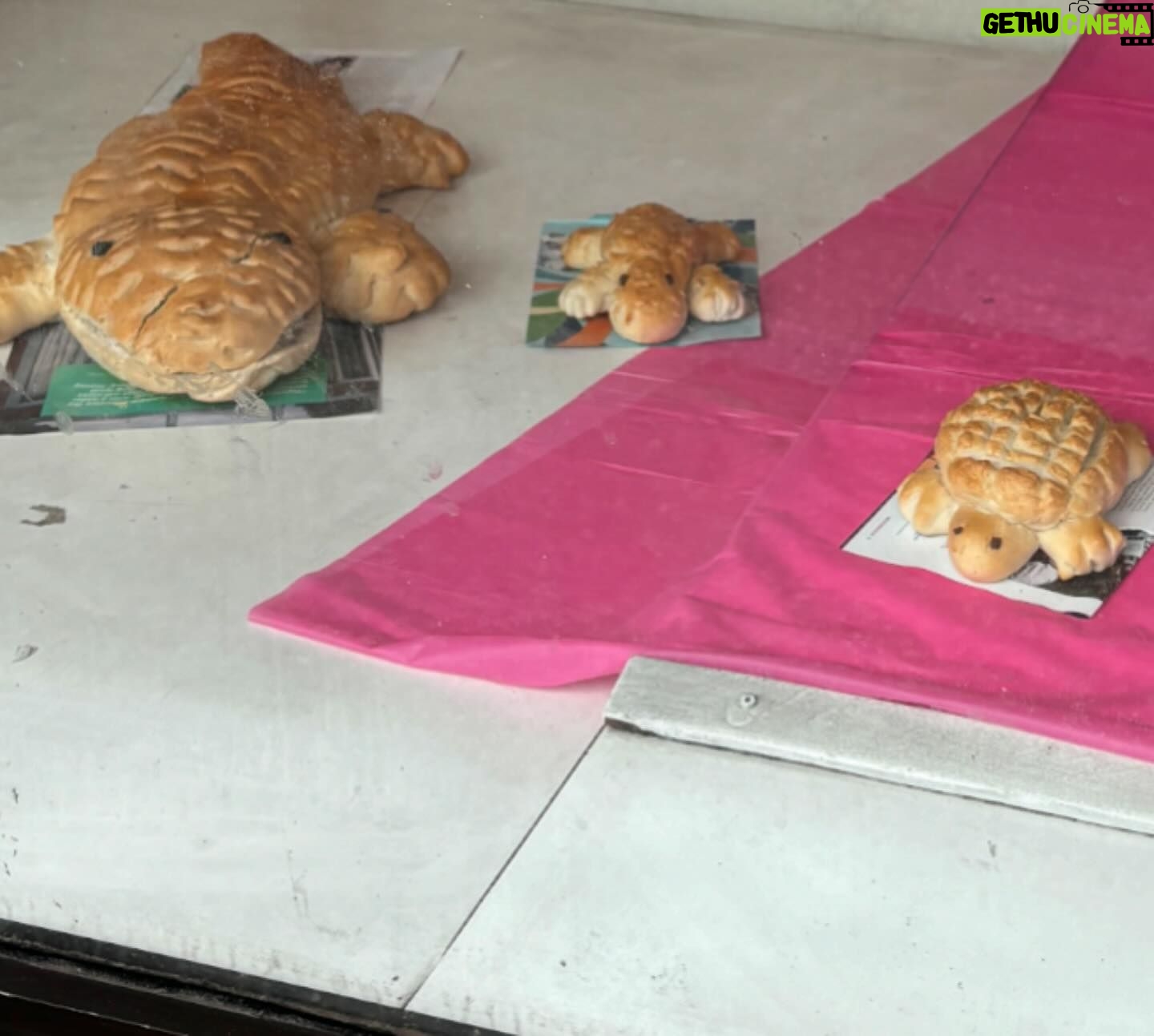 Roan Curtis | Gethu Cinema