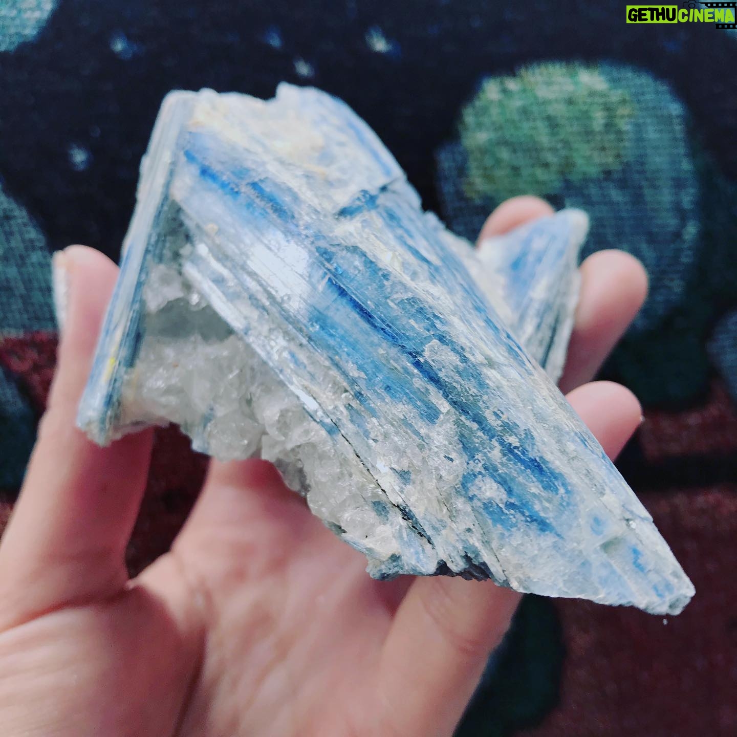 Sarah Bonito | Gethu Cinema