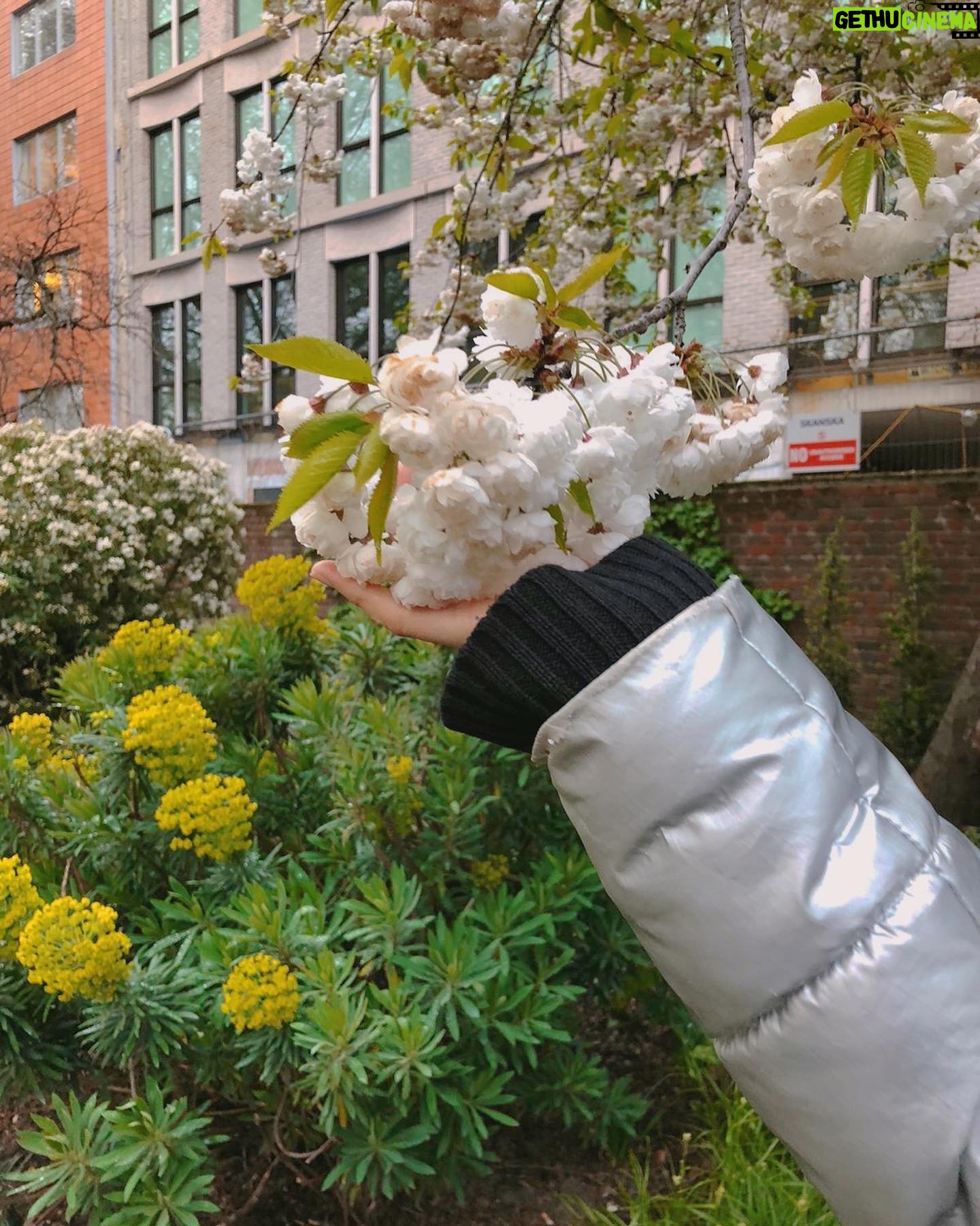 Sarah Bonito | Gethu Cinema