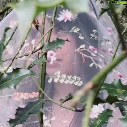 Sarah Bonito | Gethu Cinema