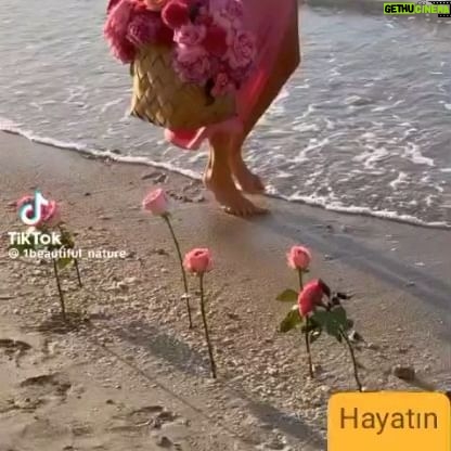 Selda Alkor | Gethu Cinema