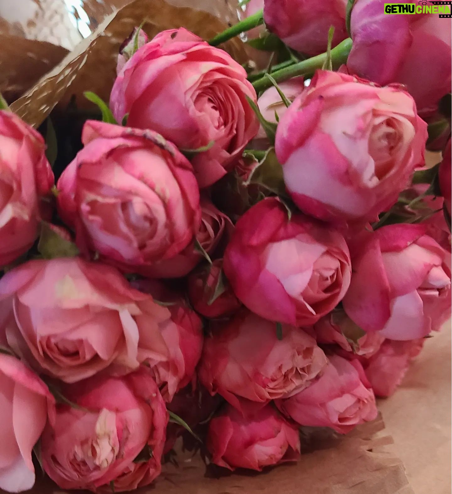 Shin A-young | Gethu Cinema