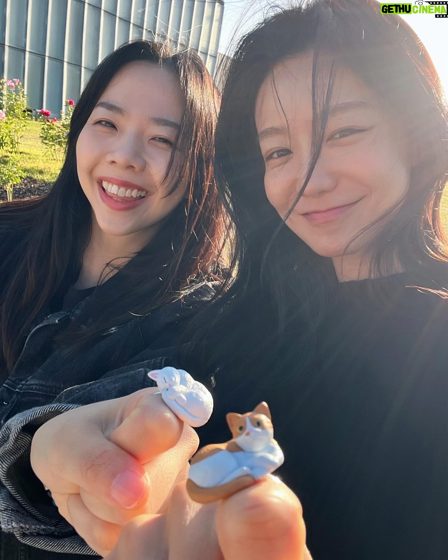 Actress Shin So-yul HD Instagram Photos and Wallpapers May 2024 | Gethu ...