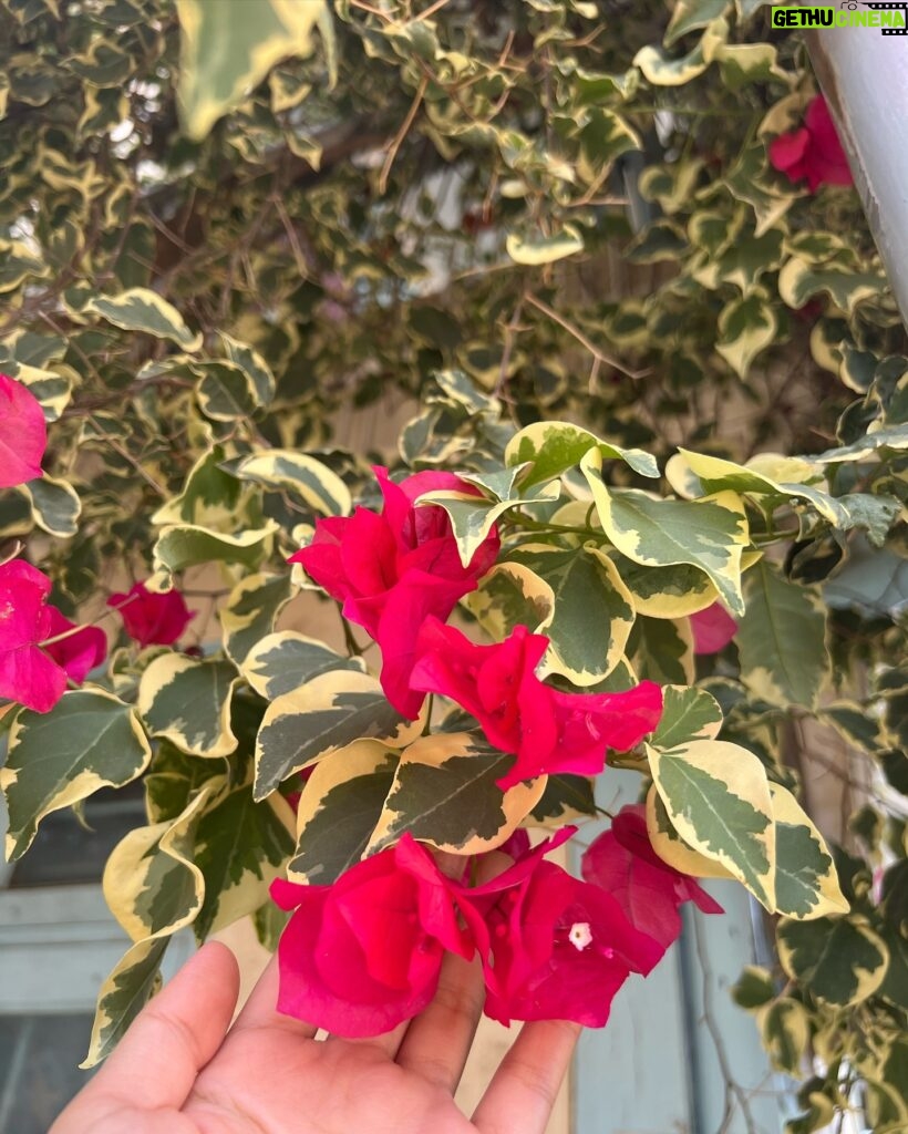 Actress Shwe Tha Mee HD Instagram Photos and Wallpapers June 2024 ...