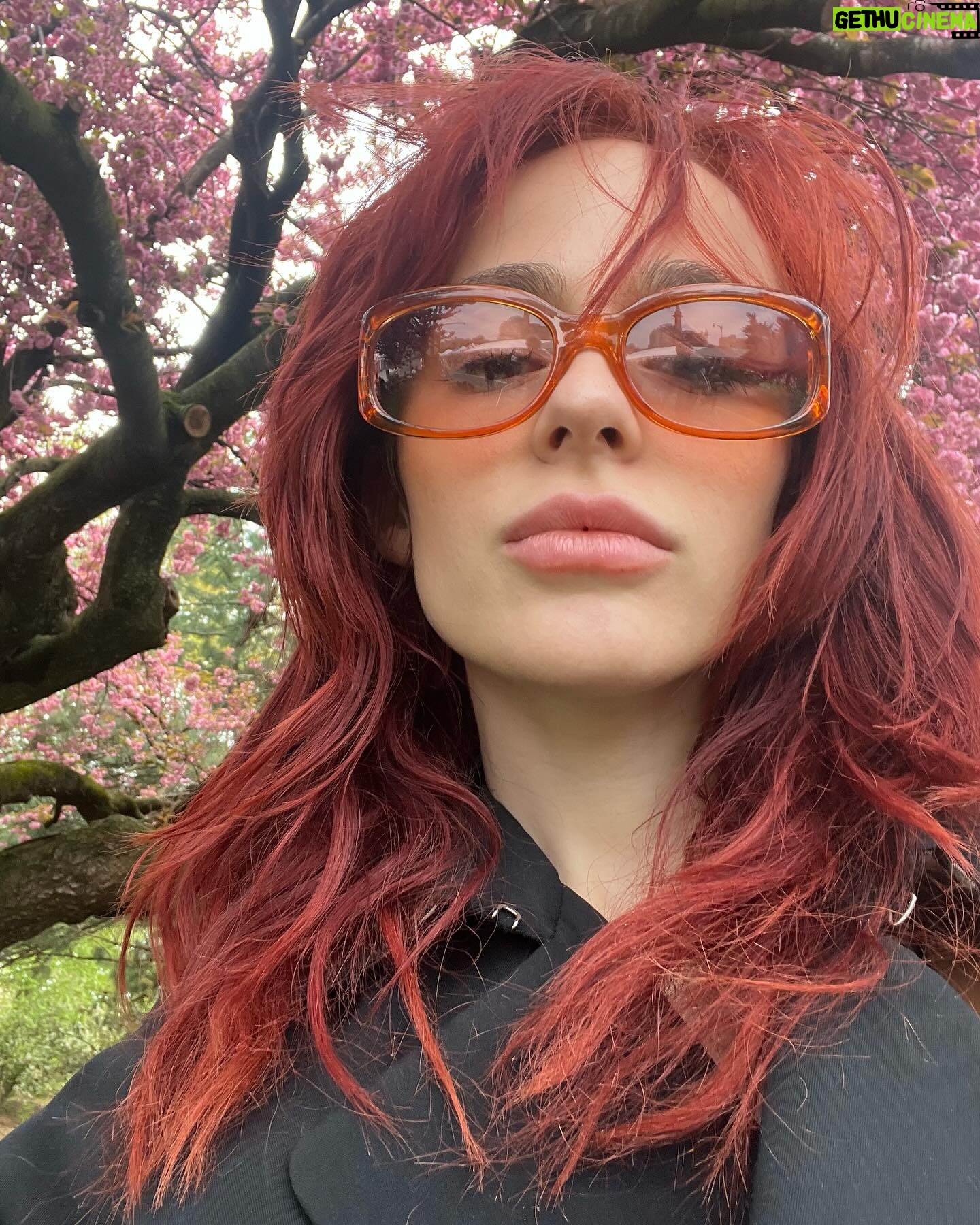 Sophia Anne Caruso Instagram – Spring | Gethu Cinema