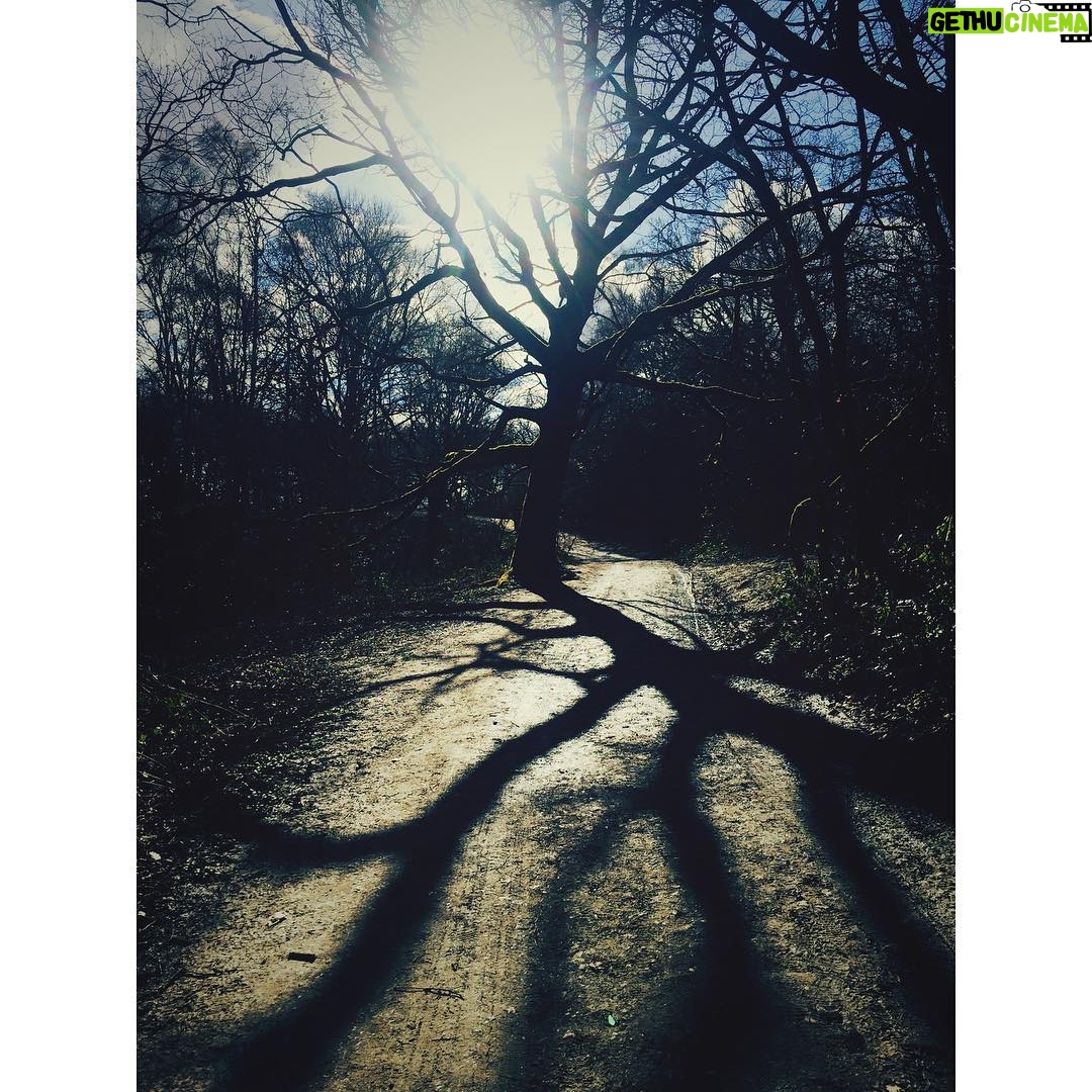 Sophie Cookson Instagram – | Gethu Cinema