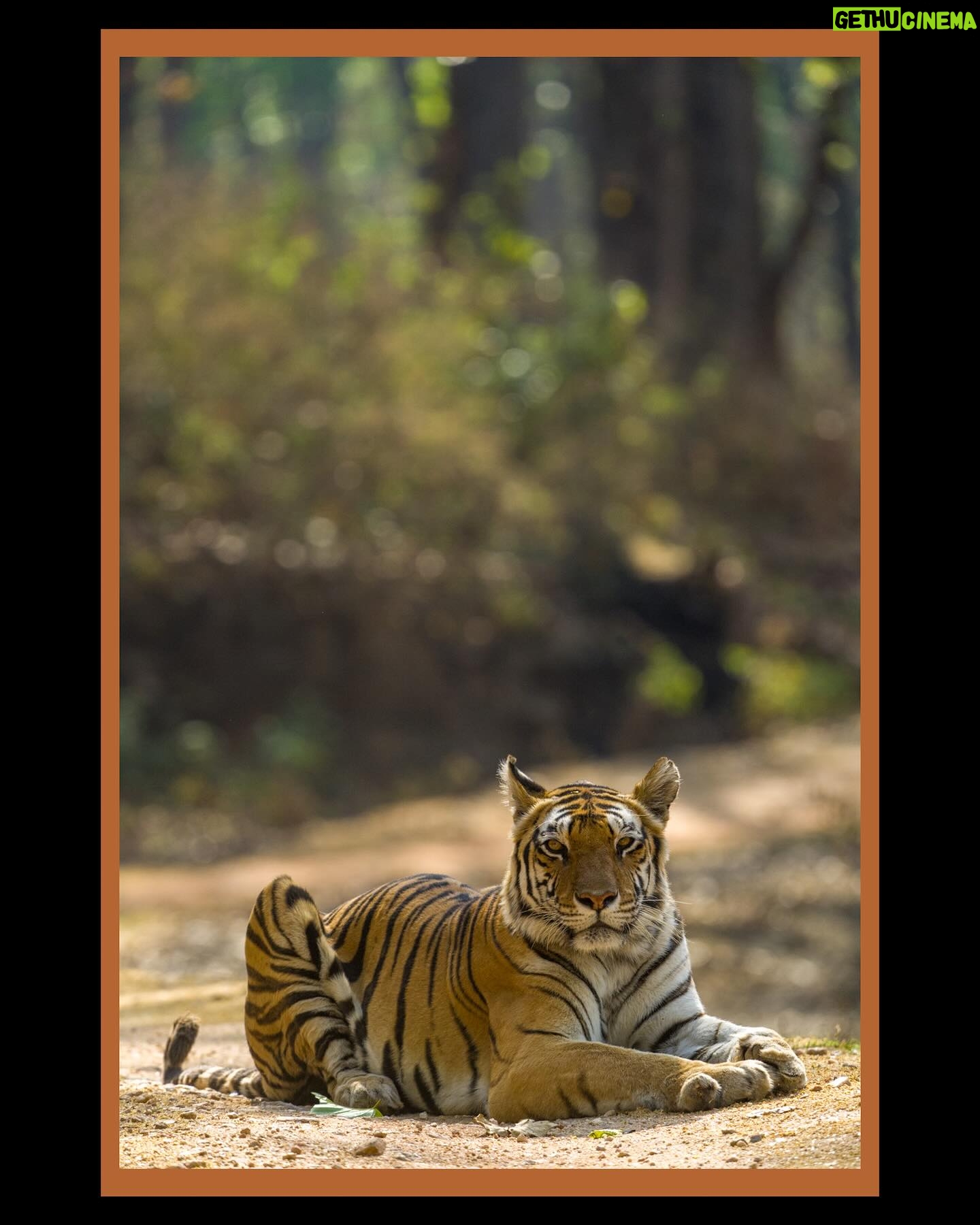 Sri Sudha Bhimireddy | Gethu Cinema